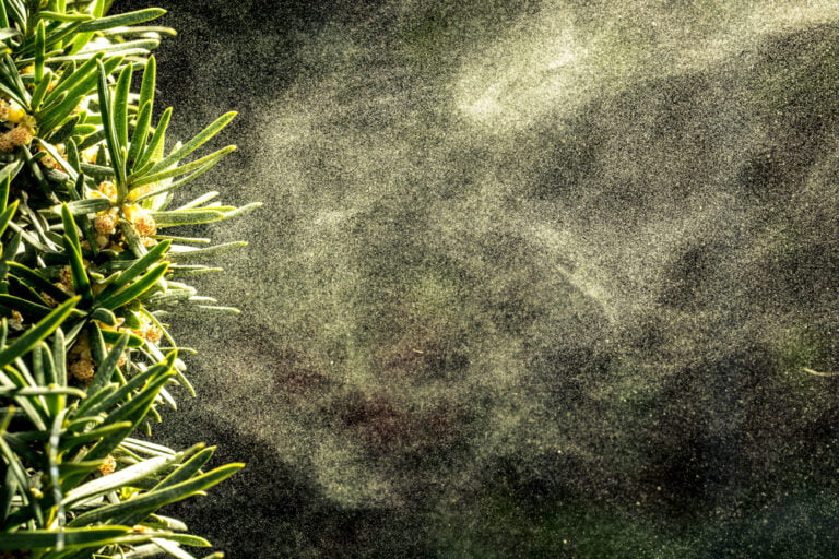 Chacko Allergy, Asthma and Sinus Center | Dr. Thomas Chacko