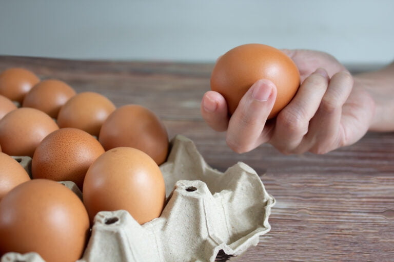 What Parents Need to Know About Their Child's Egg Allergy – Chacko Allergy